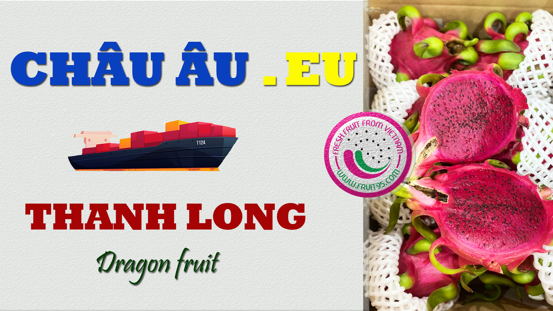 Hướng đi mới xuất khẩu thanh long thị trường EU | Thanh Long Việt